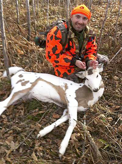 Piebald Deer: To Shoot or Not to Shoot