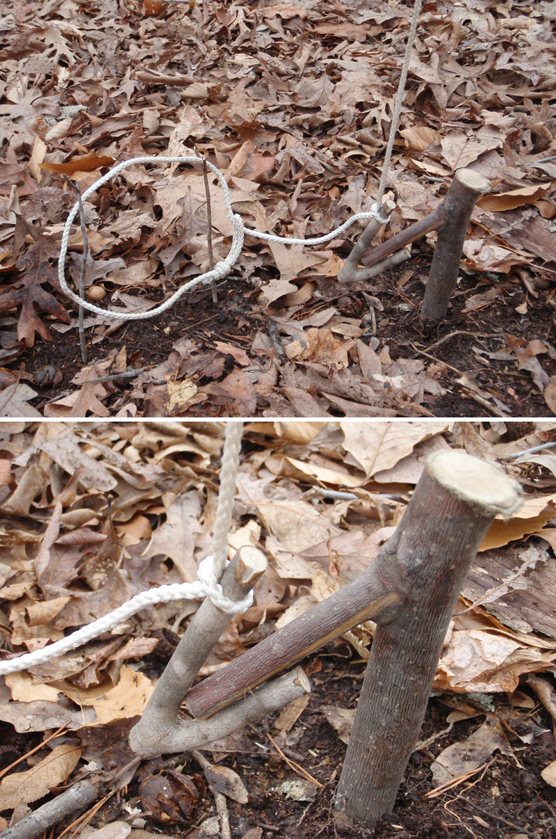 A Guide to the 15 Best Survival Traps of All Time