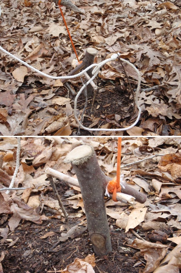 A Guide to the 15 Best Survival Traps of All Time
