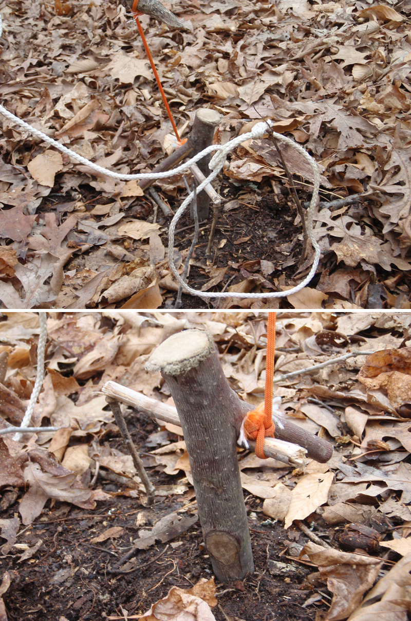 A Guide to the 15 Best Survival Traps of All Time