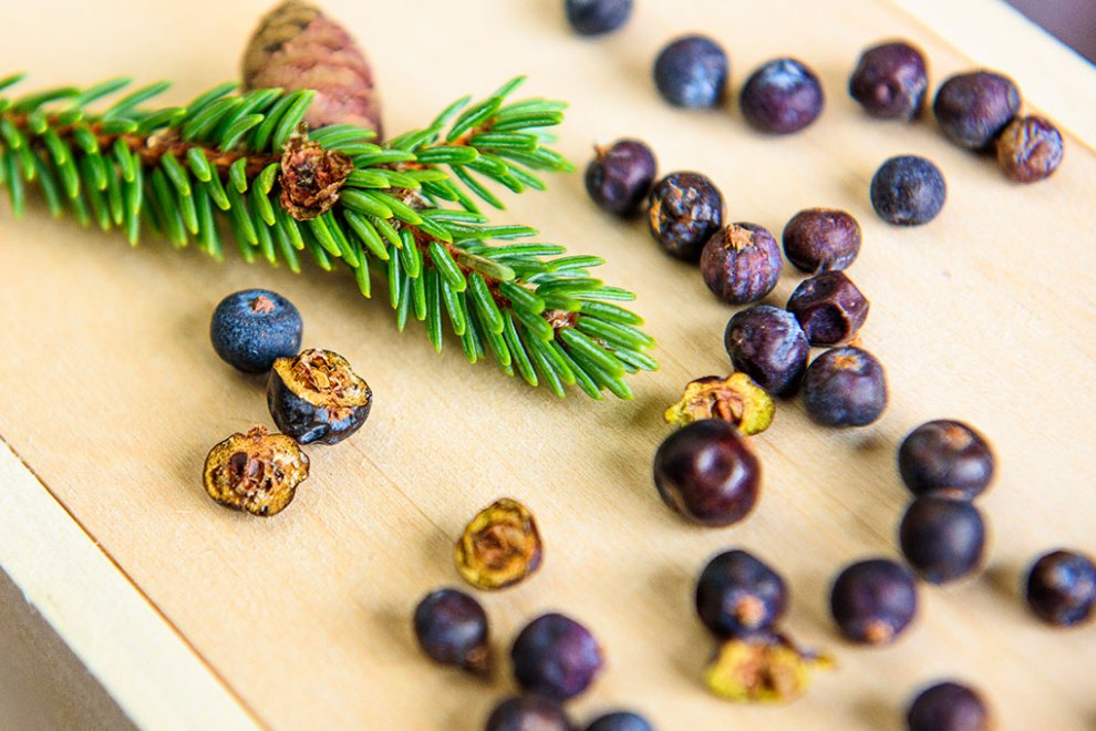 The 7 Golden Rules of Wild Game Care, from Field to Freezer