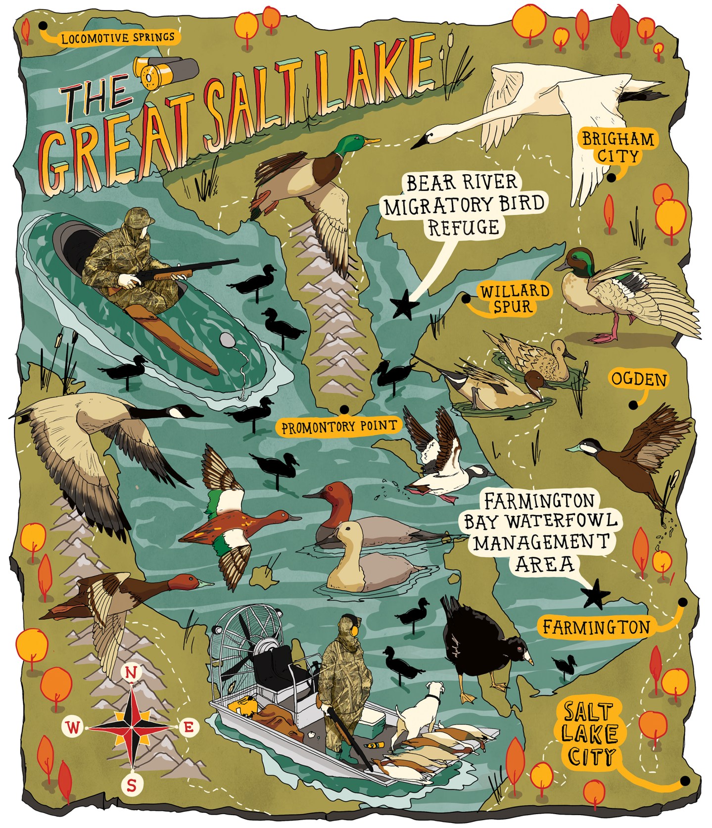 How Ducks See: The Science Behind Waterfowl Eyesight