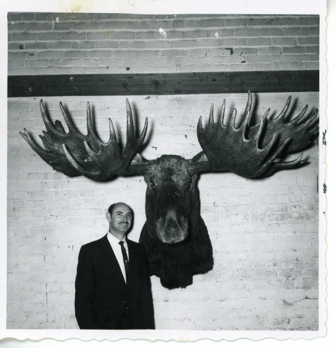The Top 40 Biggest Moose Ever Taken