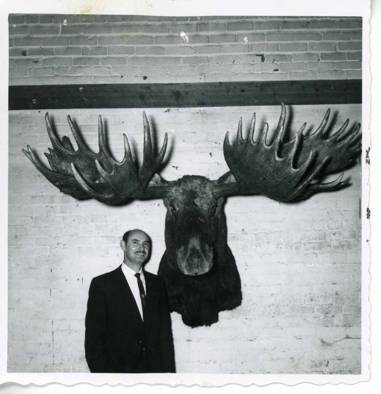The Top 40 Biggest Moose Ever Taken