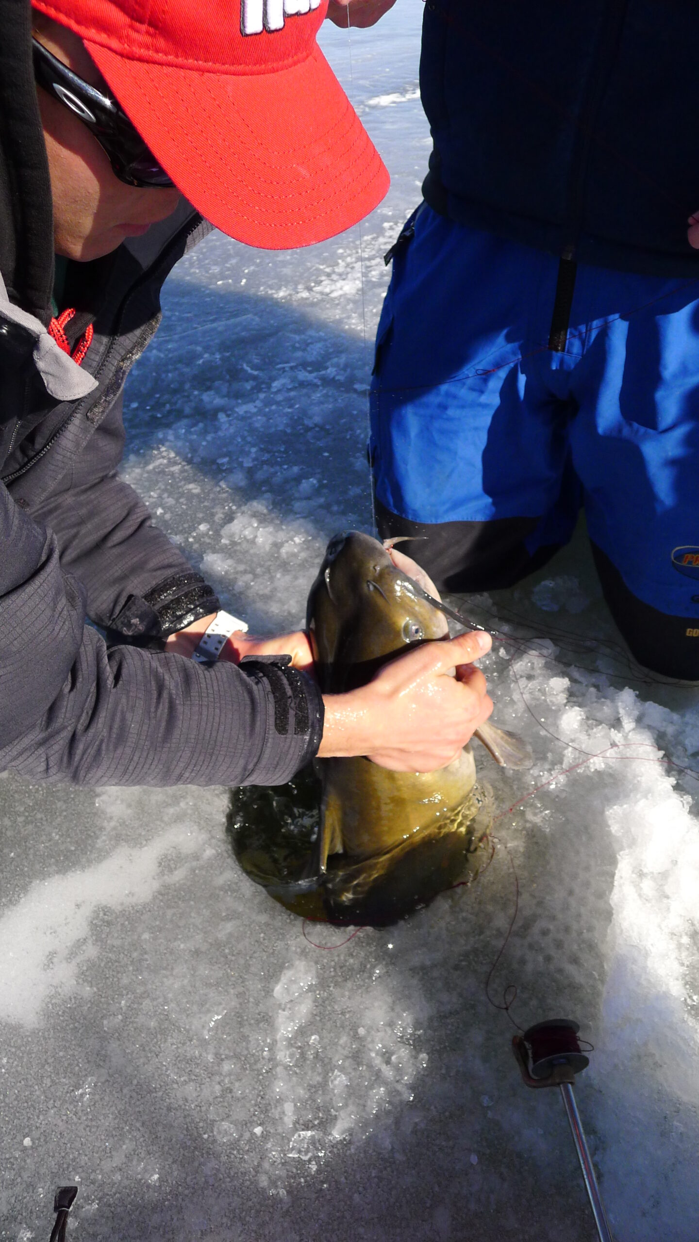 Ice Fishing for Catfish: Tips and Tactics