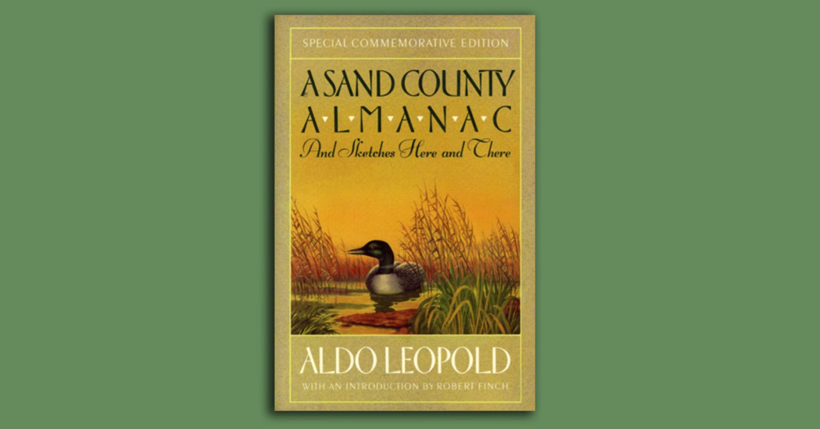 The Top 20 Books for Hunters and Anglers