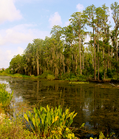 The 25 Most Incredible Survival Stories of All Time