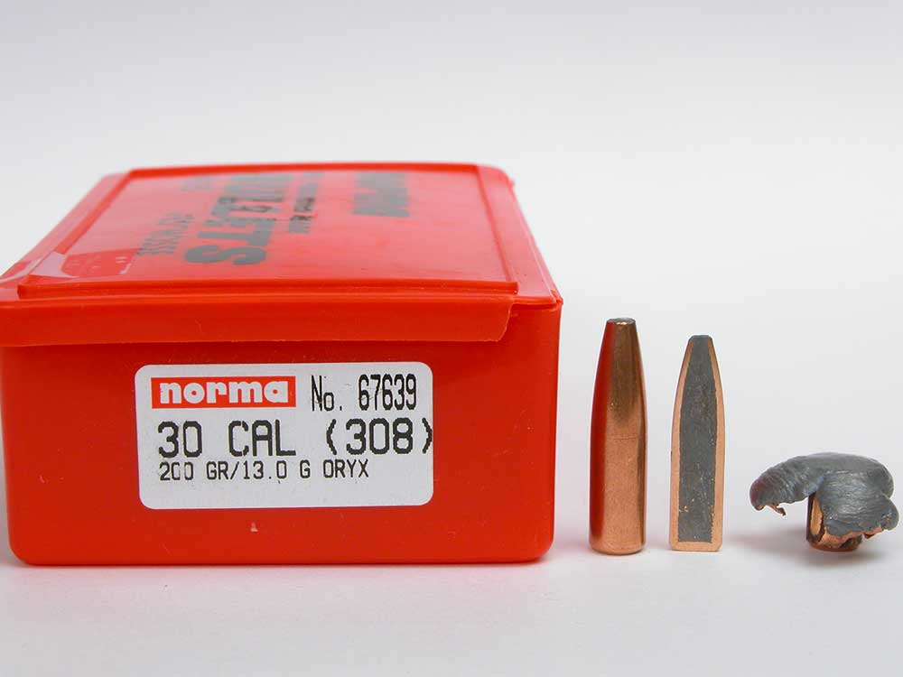 Top 10 Big-Game Bullets