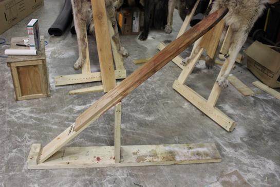 Trapping and Skinning: The Fleshing Beam