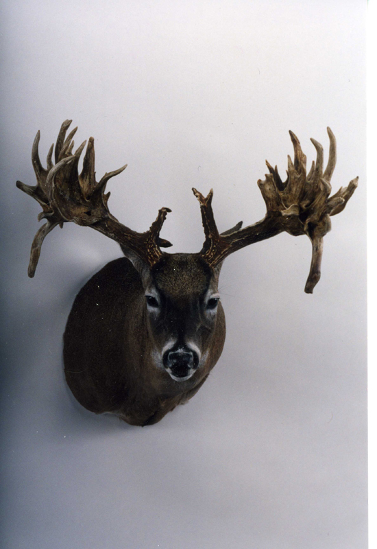 The Top 40 Typical and Nontypical Whitetails of All Time