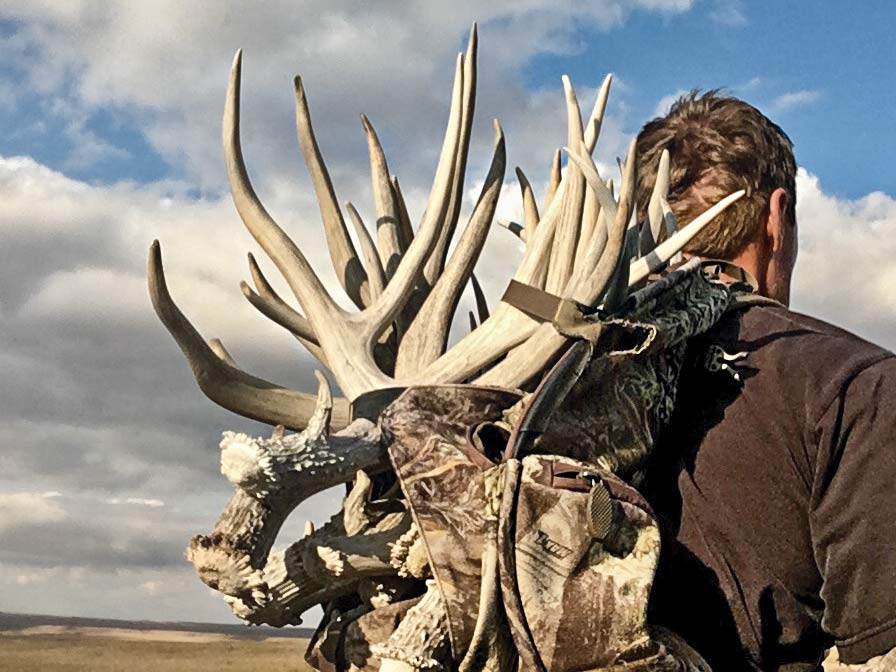 4 Shed Hunting Experts Told Us Their Strategy for Finding Antlers