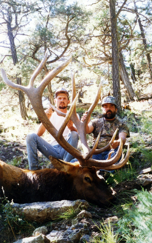 The Top 40 Typical and Nontypical Elk of All Time