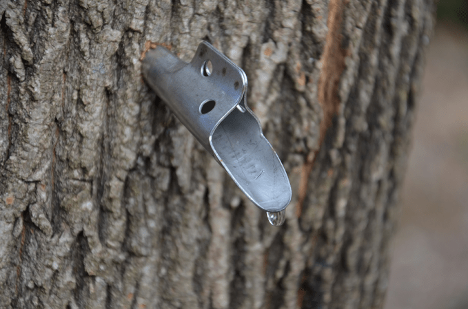 Survival Skills: 10 Ways to Purify Water