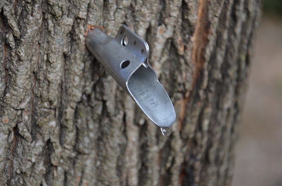 Survival Skills: 10 Ways to Purify Water