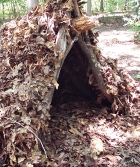 Survival Shelters: 15 Best Designs and How to Build Them