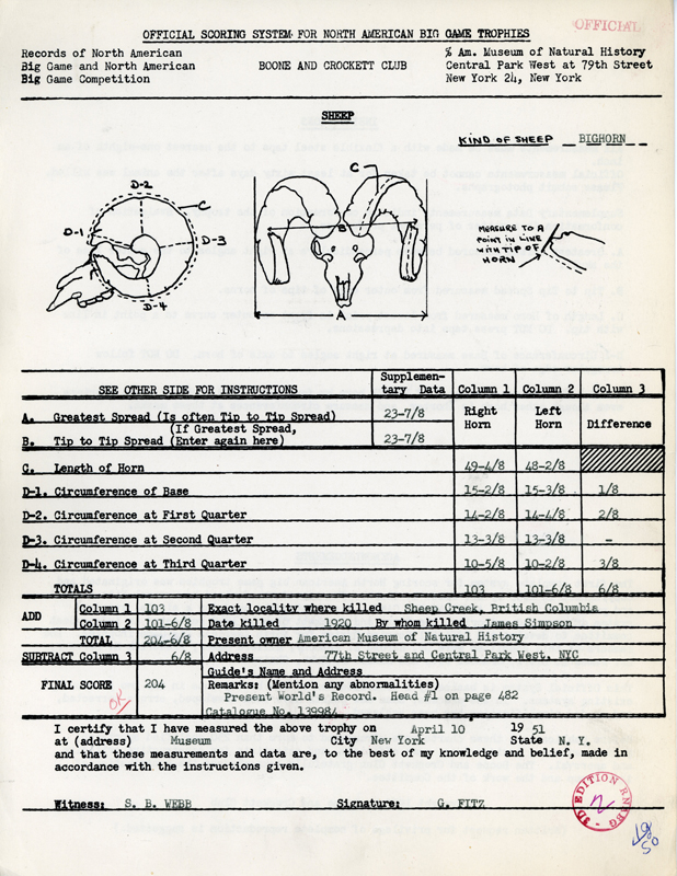 World Record Sheep: The Biggest Boone & Crockett Bighorn and Stone's Sheep