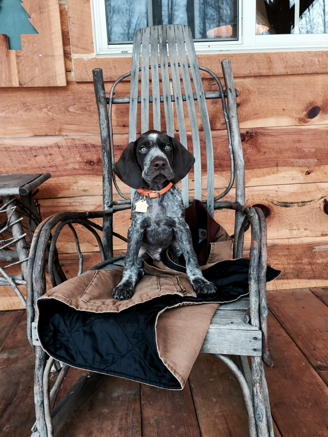 Q&A: FOX Reporter Sandra Smith on Upland Birds, Aldo Leopold, and Gun Dogs