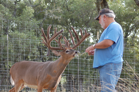 Freak Show Bucks: A Hard Look at Breeding For Antlers