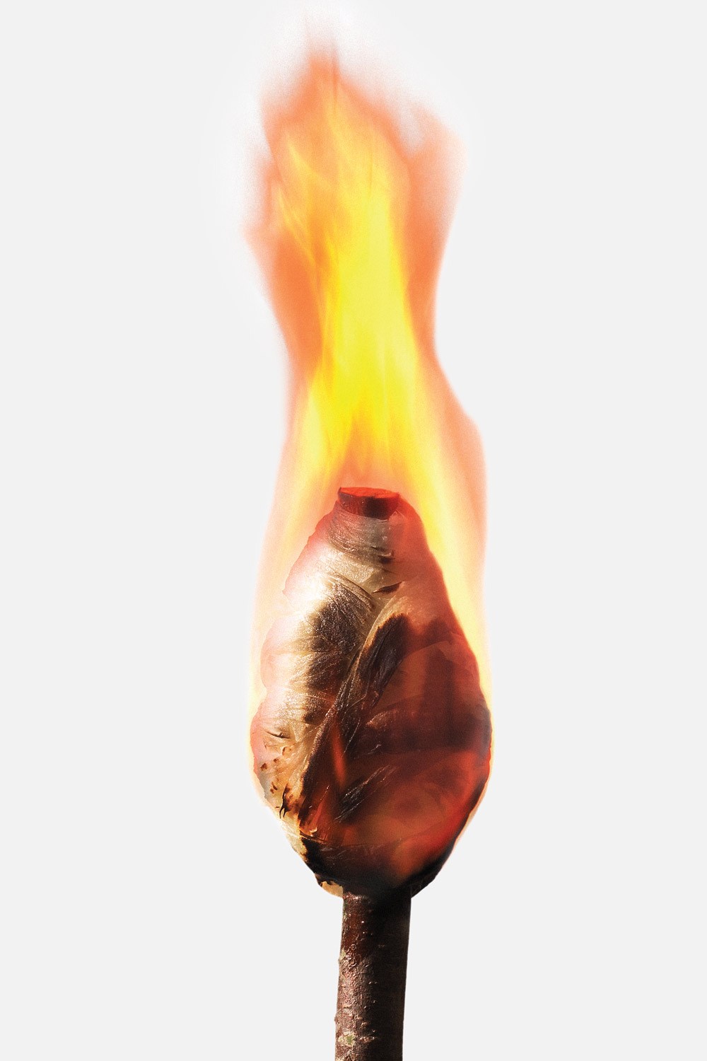 46 Survival Skills to Keep You Entertained in the Backyard and Alive in ...