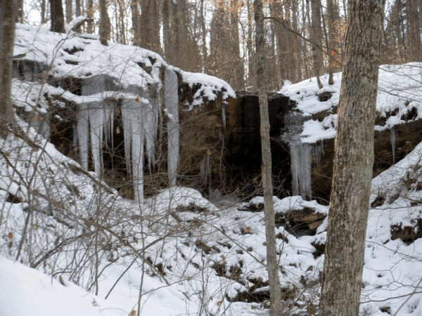 How to Make a DIY Backyard Forge