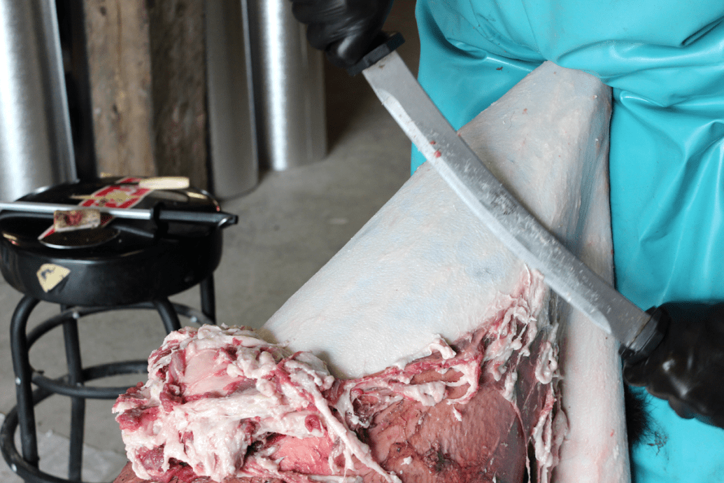 Why You Should Use a PVC Fleshing Beam for Hides, and How to Make One