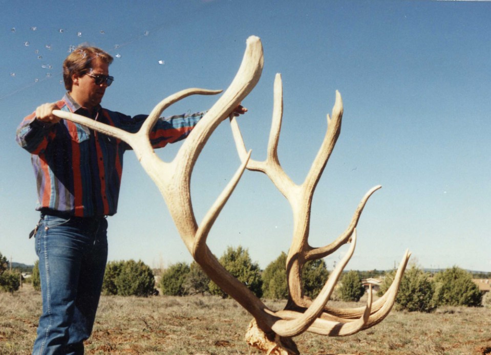 The Top 40 Typical and Nontypical Elk of All Time