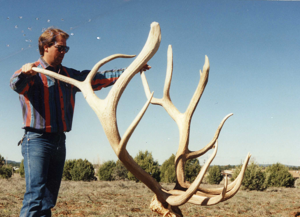 The Top 40 Typical and Nontypical Elk of All Time