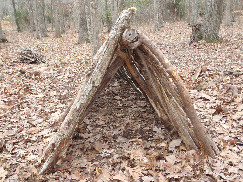 Survival Shelters: 15 Best Designs and How to Build Them