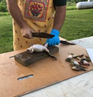 A Beginner’s Guide to Gigging Frogs