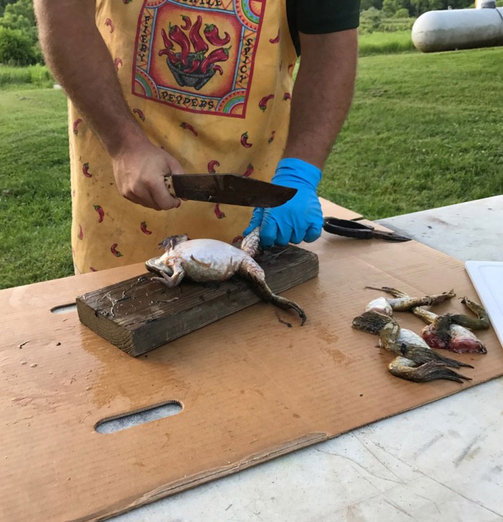 A Beginner’s Guide to Gigging Frogs