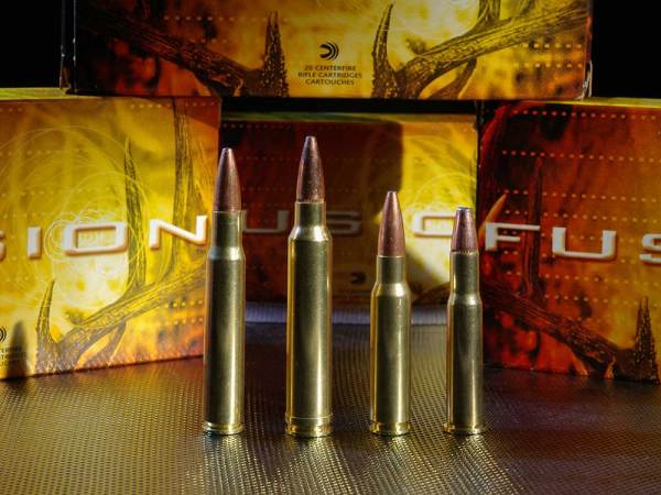 Top 10 Big-Game Bullets