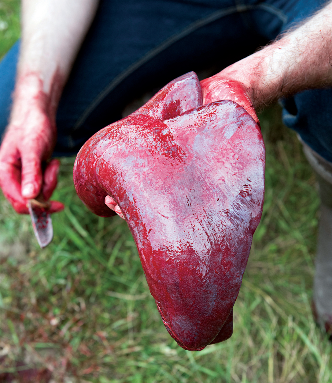 The Undercuts: How to Cook the Most Underrated Cuts of Venison – Parlo