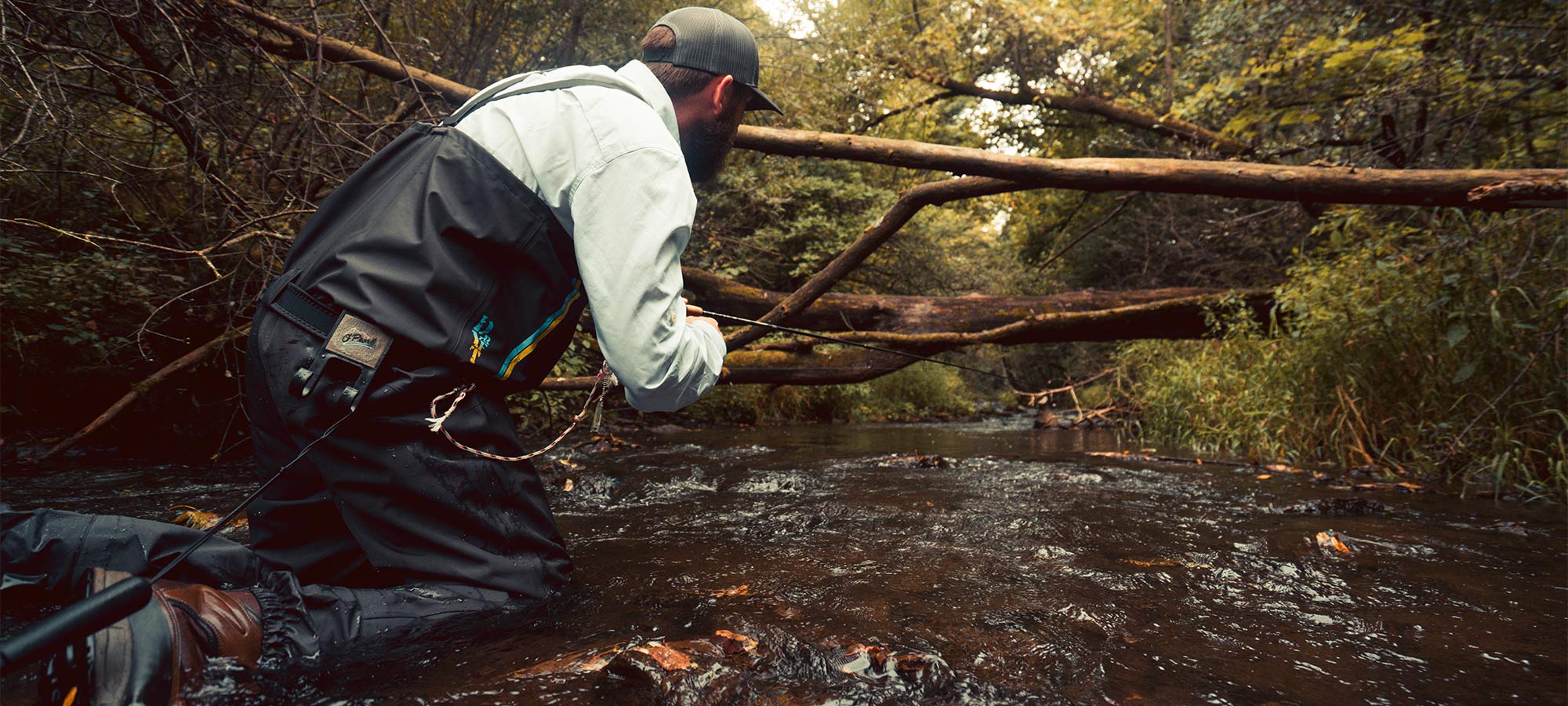 Fishing the Driftless Area: The Best Kept Secret in the Trout World