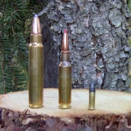The Ultimate Rifle Cartridges for Grizzly and Brown Bears