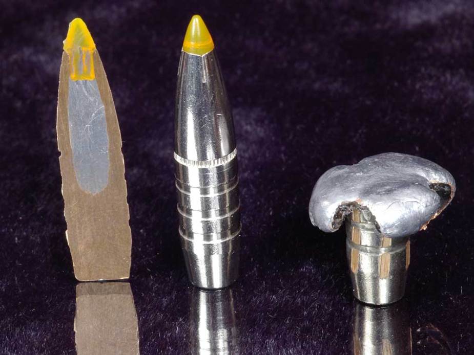 Top 10 Big-Game Bullets