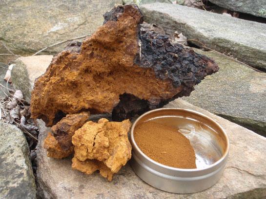 How to Process and Use Animal Sinew