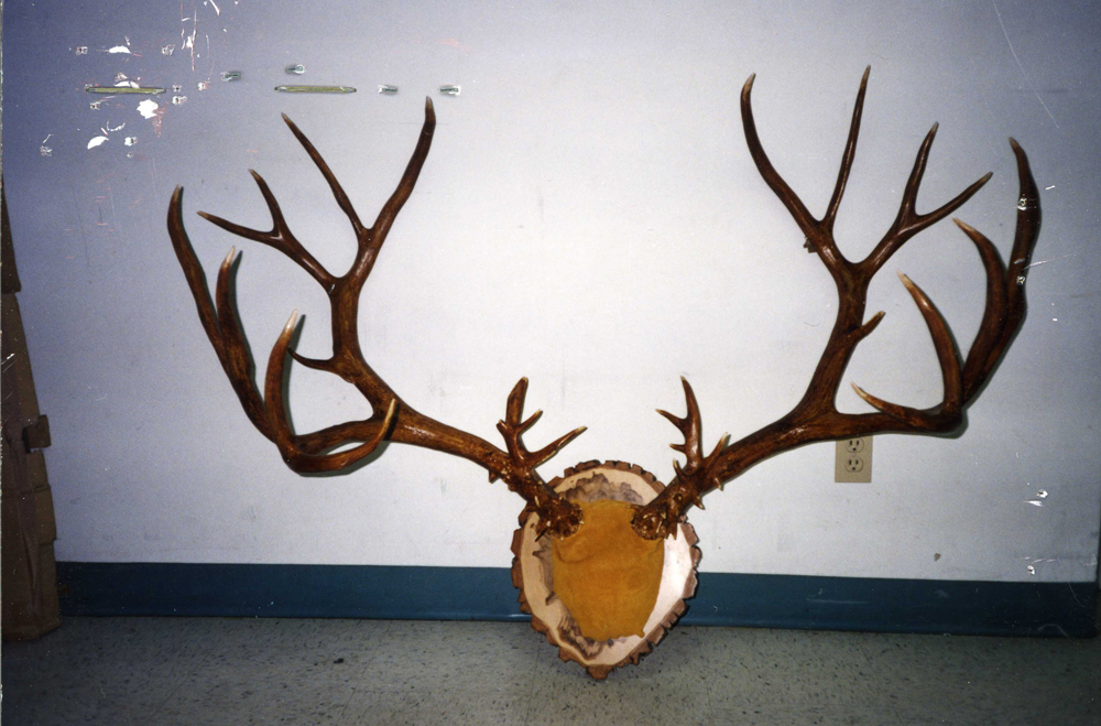 The Top 40 Typical and Nontypical Mule Deer of All Time