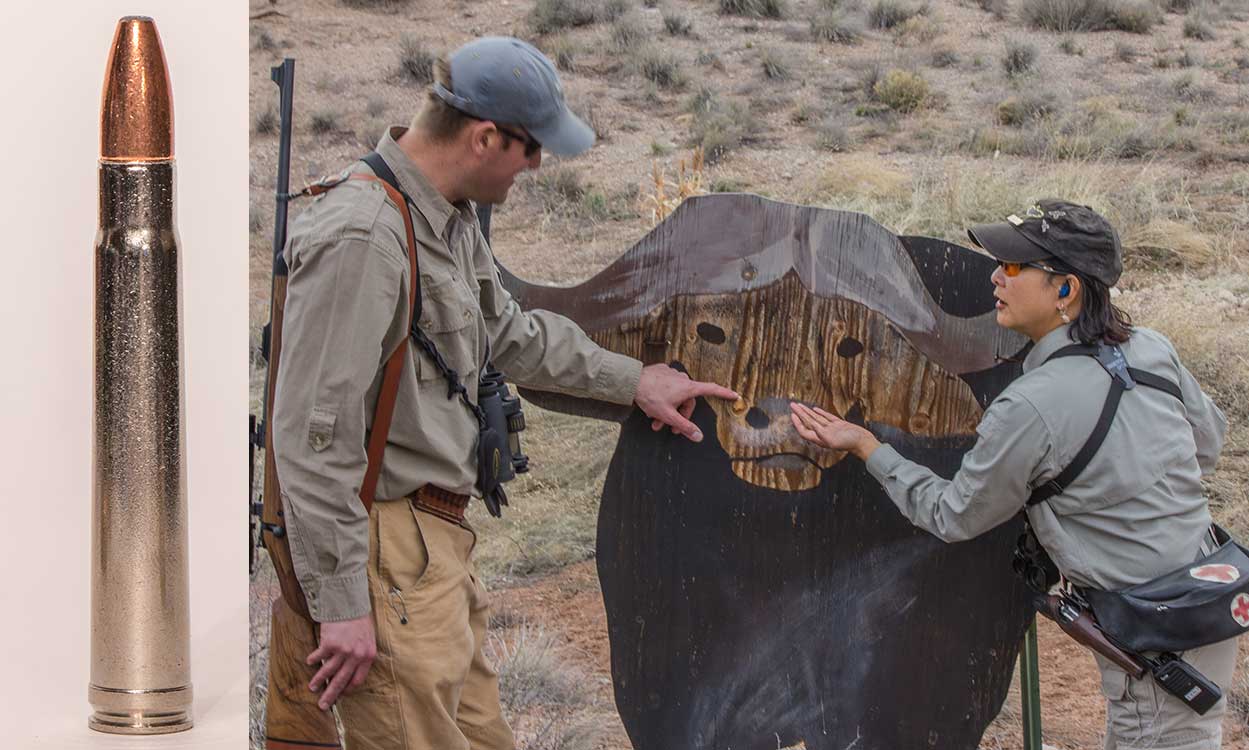 The Top 10 Essential Cartridges for the American Shooter