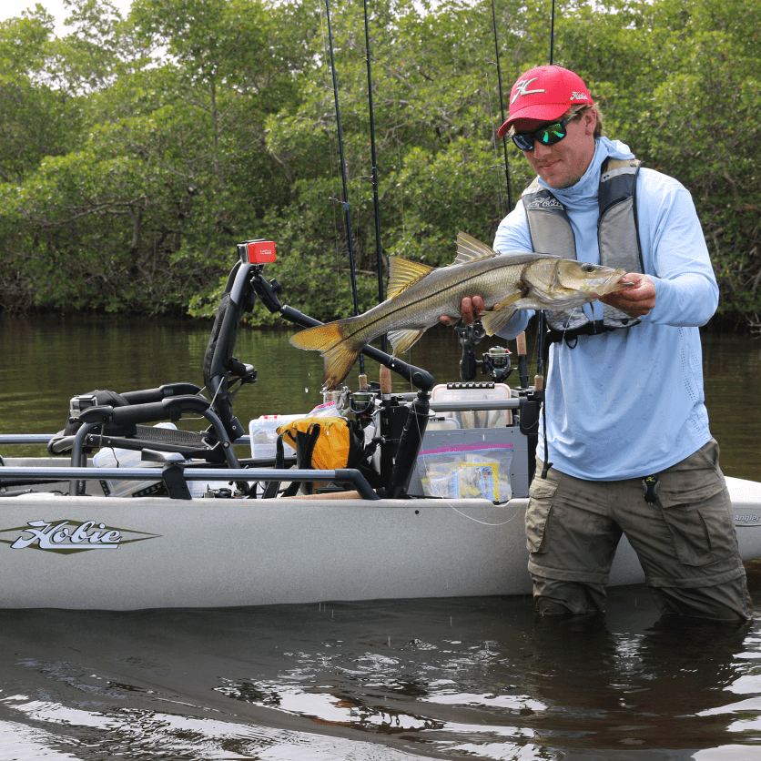 Watch: 'Jubilee' Draws Millions of Fish into Gulf Coast Shallows ...