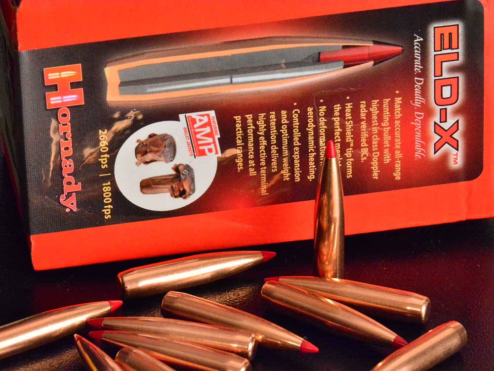 Top 10 Big-Game Bullets