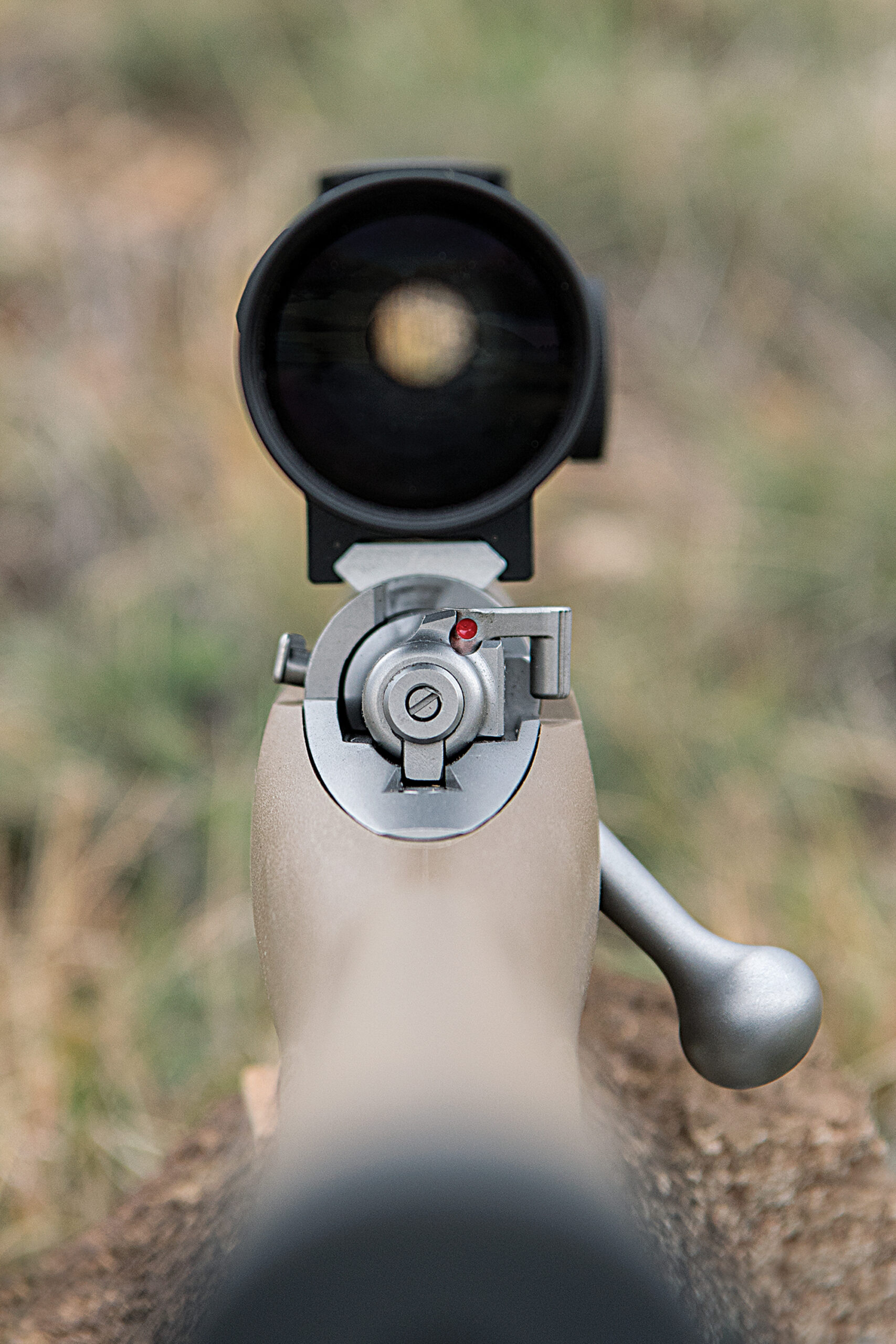 Gun Review: Kimber M84 Hunter Rifle