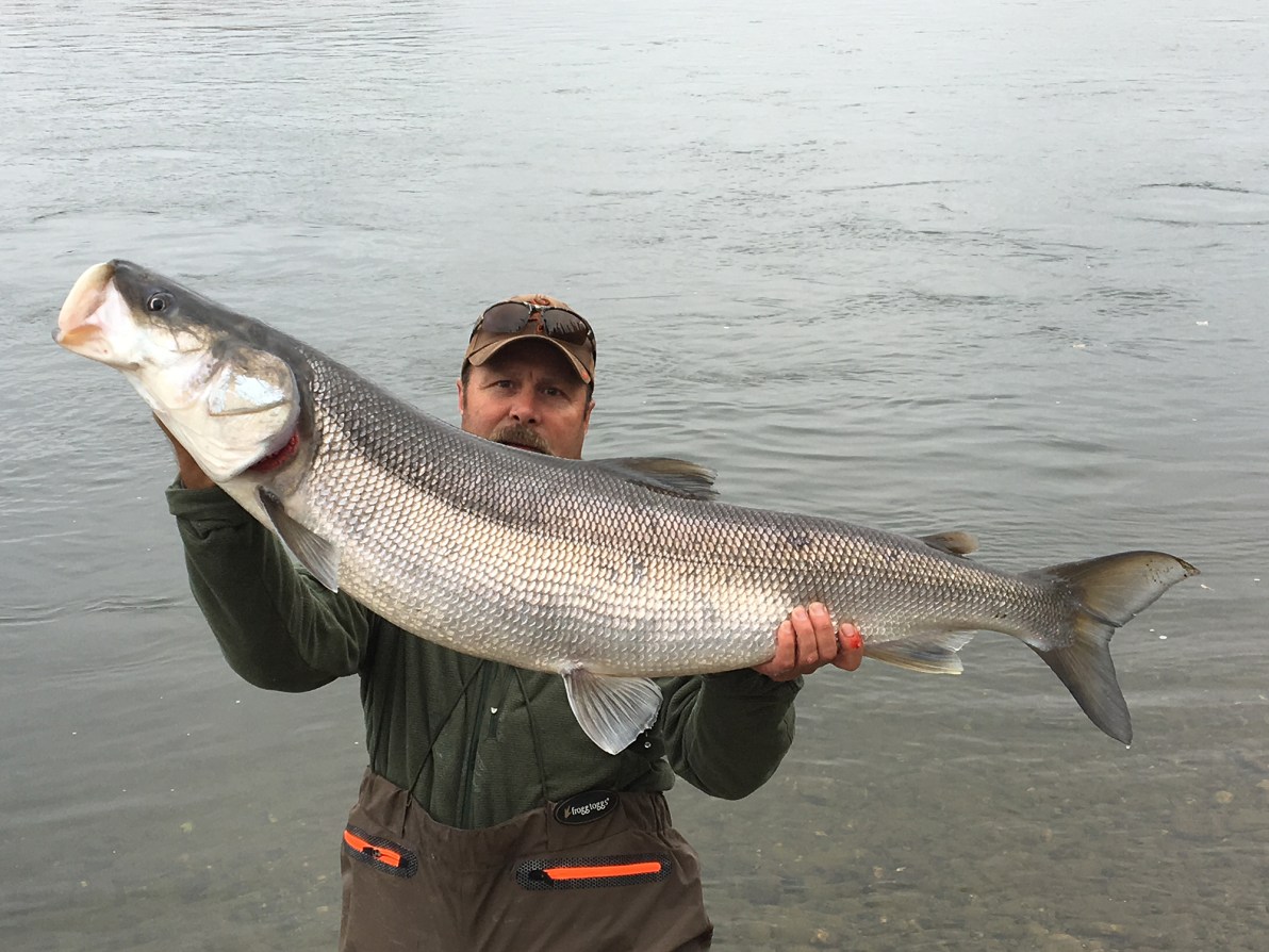 The Top 10 Best Alaska Fishing Trips