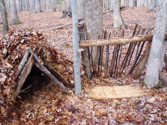 Survival Skills: How To Build A Lean-To Shelter