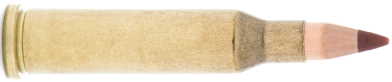 The .17 Hornet: How I Discovered the Perfect Predator Round