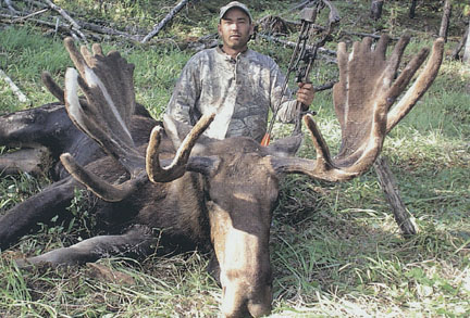 Biggest Moose Ever!