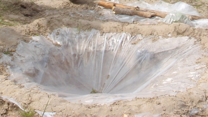 Survival Skills: 10 Ways to Purify Water