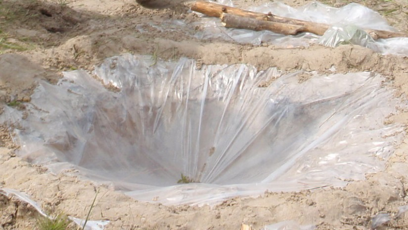 Survival Skills: 10 Ways to Purify Water