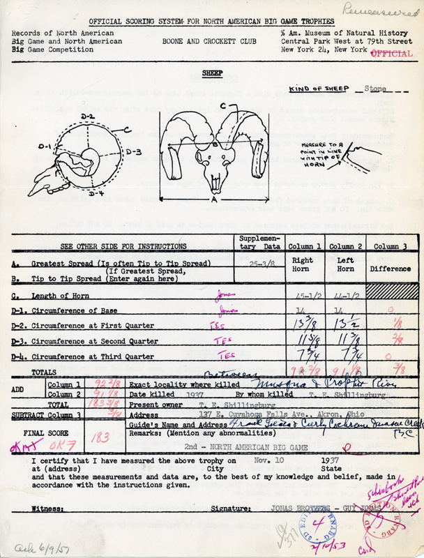 World Record Sheep: The Biggest Boone & Crockett Bighorn and Stone's Sheep