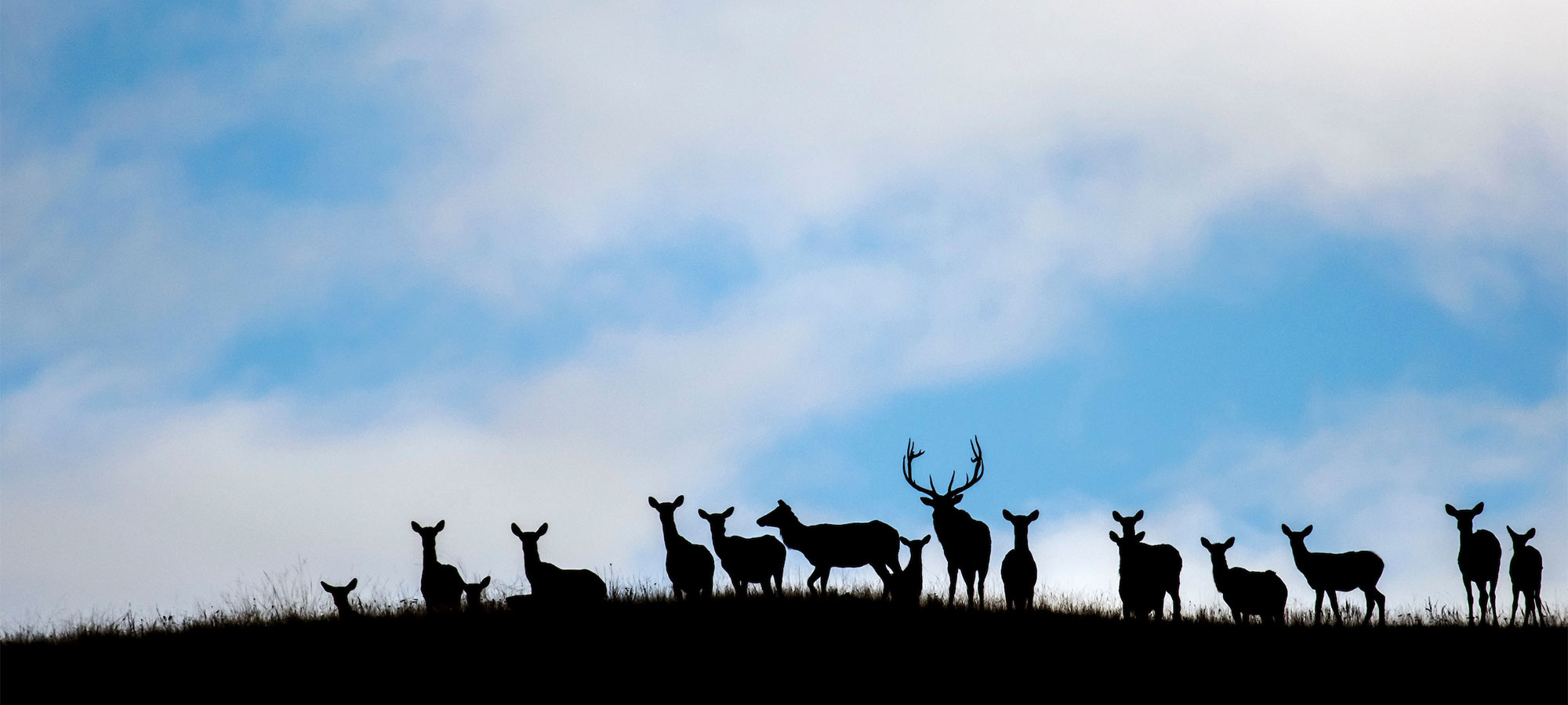 Top 10 DIY Western Hunts