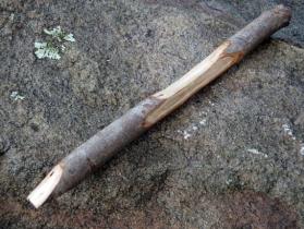 Survival Skills: The Figure 4 Deadfall